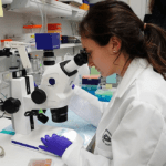 Bristol Myers Squibb Wins EU Green Light for Opdivo-Based Hodgkin ...